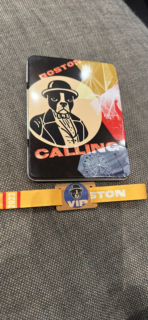Boston Calling VIP 1 Day ticket below face value | | CashorTrade.org ...
